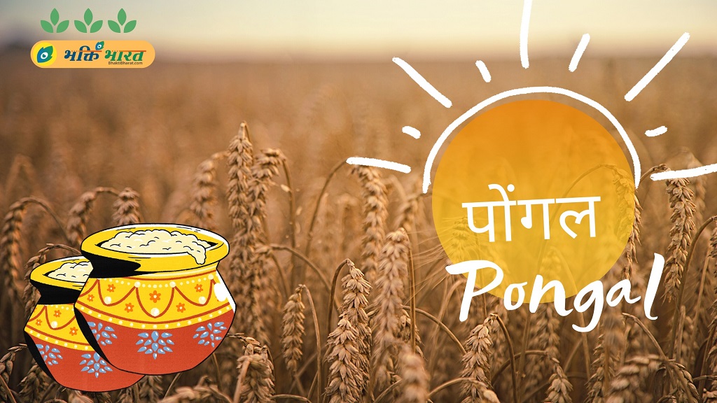 Pongal Pongal 2024 Date Sunday 14 January 2024 BhaktiBharat Pongal Pongal 2024 Date Sunday 14 January 2024 BhaktiBharat