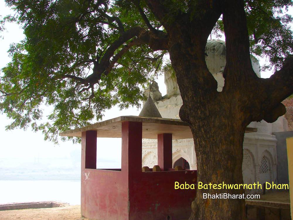 Baba Bateshwar Dham | बाबा बटेश्वर धाम | Bateshwar Uttar Pradesh ...