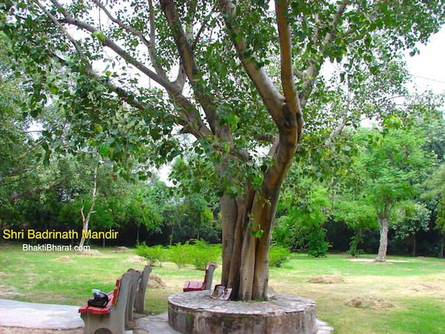 श्री बद्रीनाथ मंदिर | Shri Badrinath Mandir | Delhi New Delhi ...