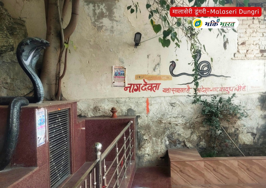 Malaseri Dungri | मालासेरी डूंगरी | Malaseri Rajasthan - BhaktiBharat.com