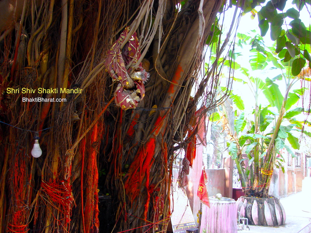 प्राचीन श्री शिव शक्ति मंदिर | Prachin Shri Shiv Shakti Mandir ...