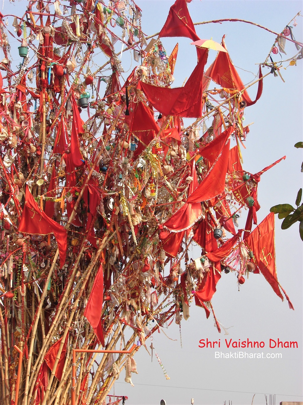 Shri Vaishno Devi Dham | श्री वैष्णो देवी धाम | Firozabad Uttar Pradesh ...