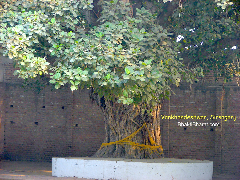 बरखंडी सिरसागंज | Barkhandi Sirsaganj | Sirsaganj Uttar Pradesh ...